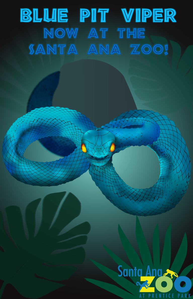 Zoo Poster: Blue Pit Viper – Design Kulprit